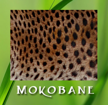 Second Life Marketplace - WK Mokobane Cheetah